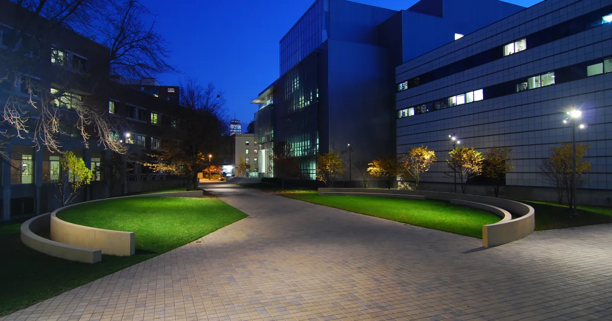 Lower Courtyard, 2010 | MIT List Visual Arts Center