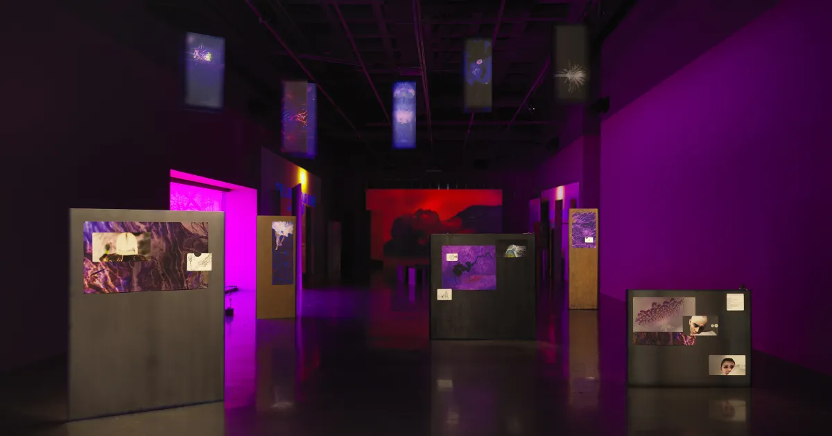 Basel Abbas and Ruanne Abou-Rahme: Only sounds that tremble through us ...