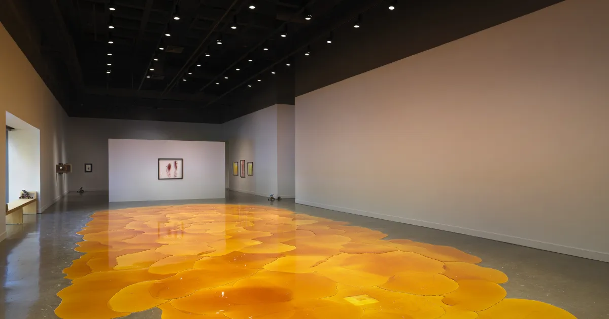 Goldin+Senneby: Flare-Up | MIT List Visual Arts Center