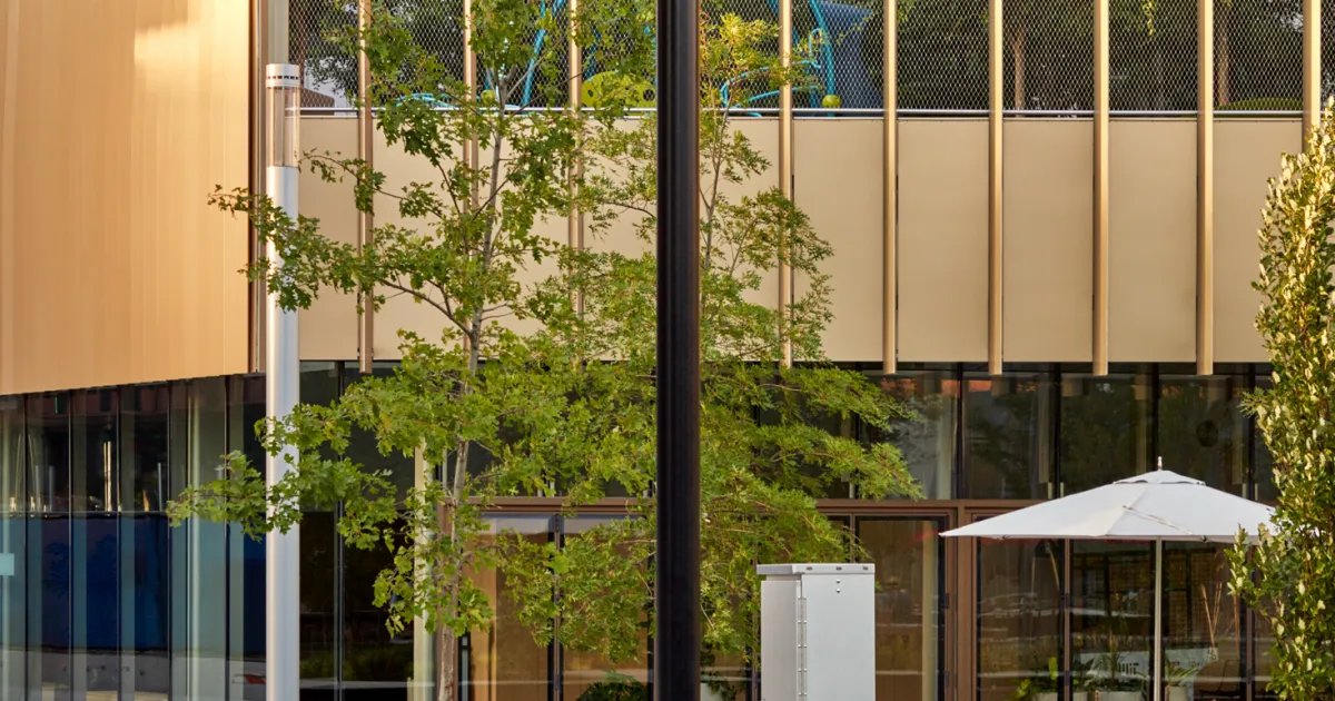 Against the Run, 2019 | MIT List Visual Arts Center