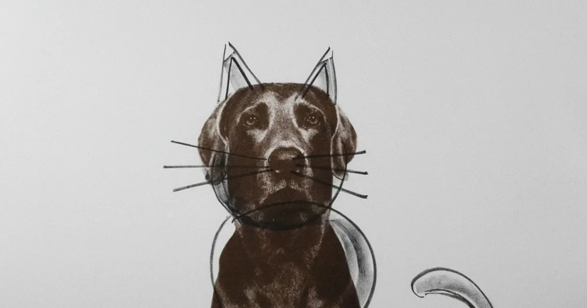 Ray Cat, 1987 | MIT List Visual Arts Center