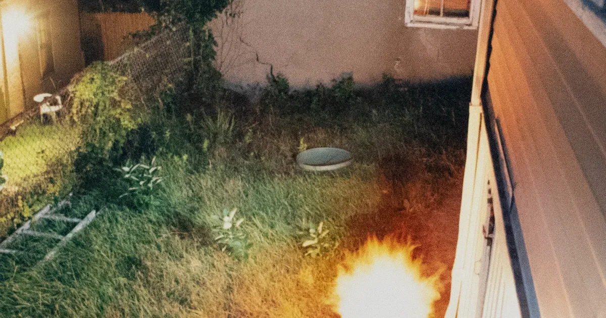 Cookout, 1990 | MIT List Visual Arts Center
