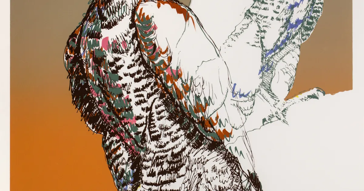 Falcon II, 1981 | MIT List Visual Arts Center