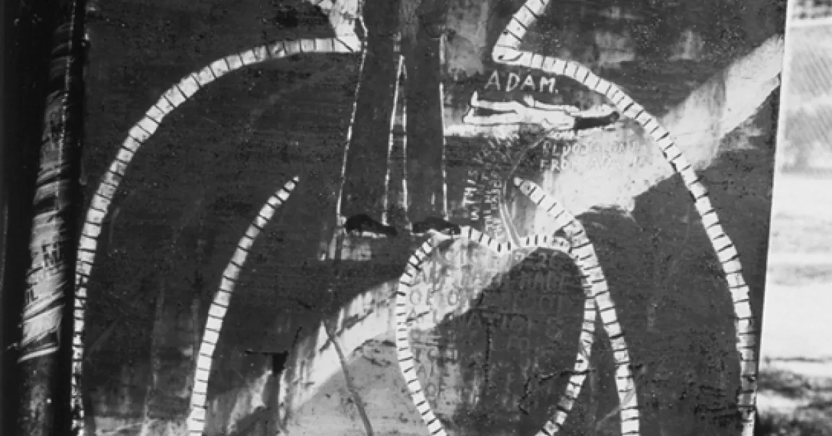 Rev. Finster Summerville, Georgia, 1996 | MIT List Visual Arts Center